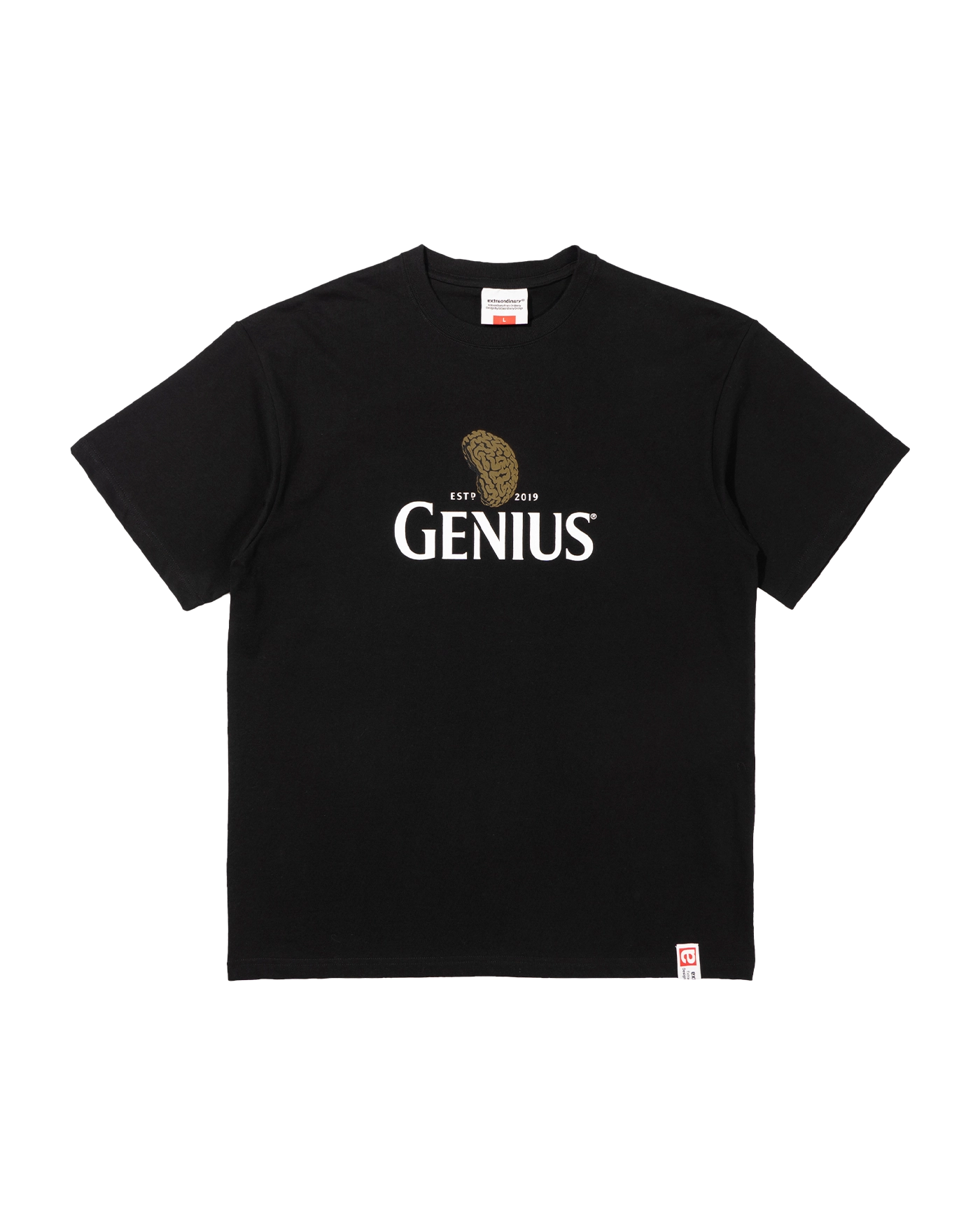 EXTRAORDINARY GENIUS TEE