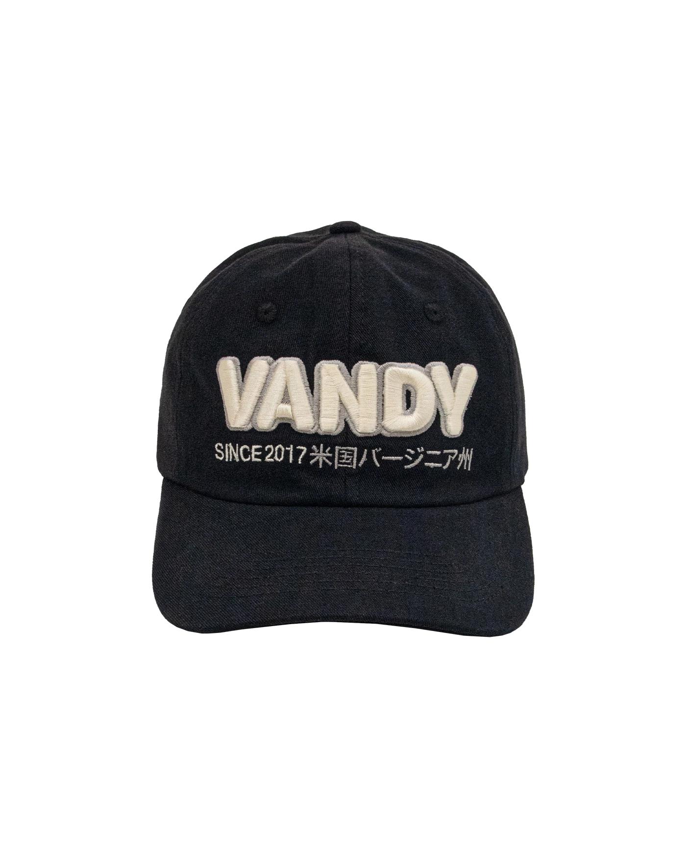 VANDY THE PINK BASIC LOGO BALL CAP