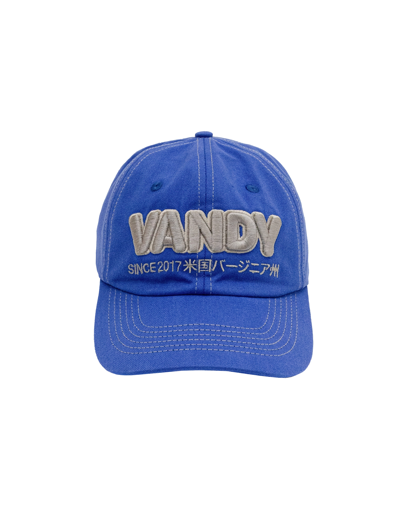 VANDY THE PINK BASIC LOGO BALL CAP