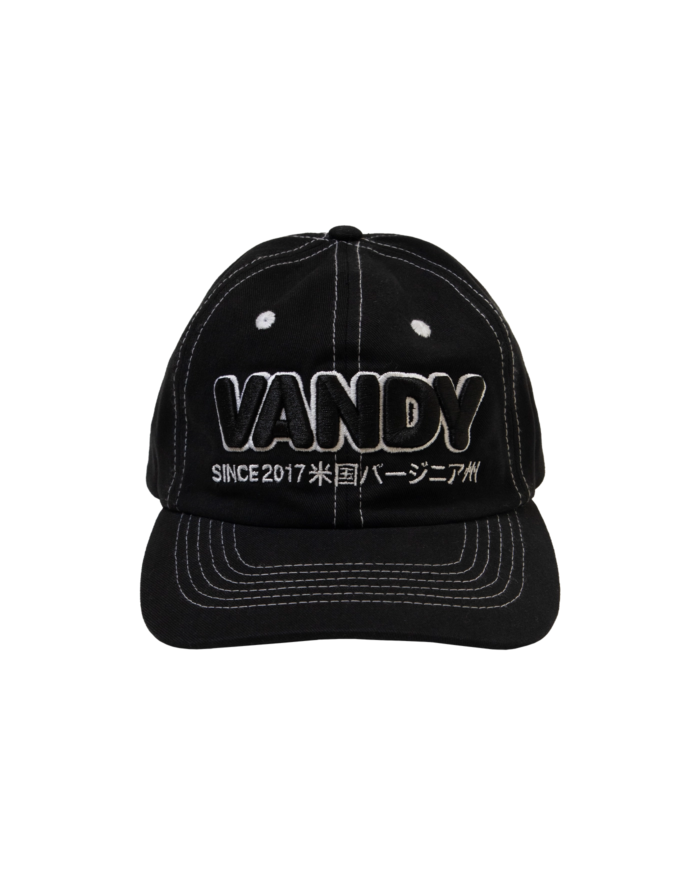 VANDY THE PINK BASIC LOGO CAP