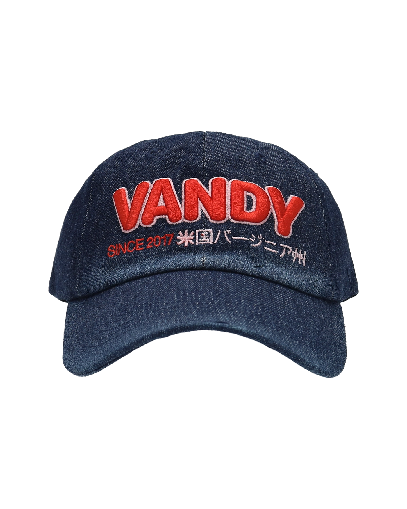 VANDY THE PINK BASIC LOGO CAP