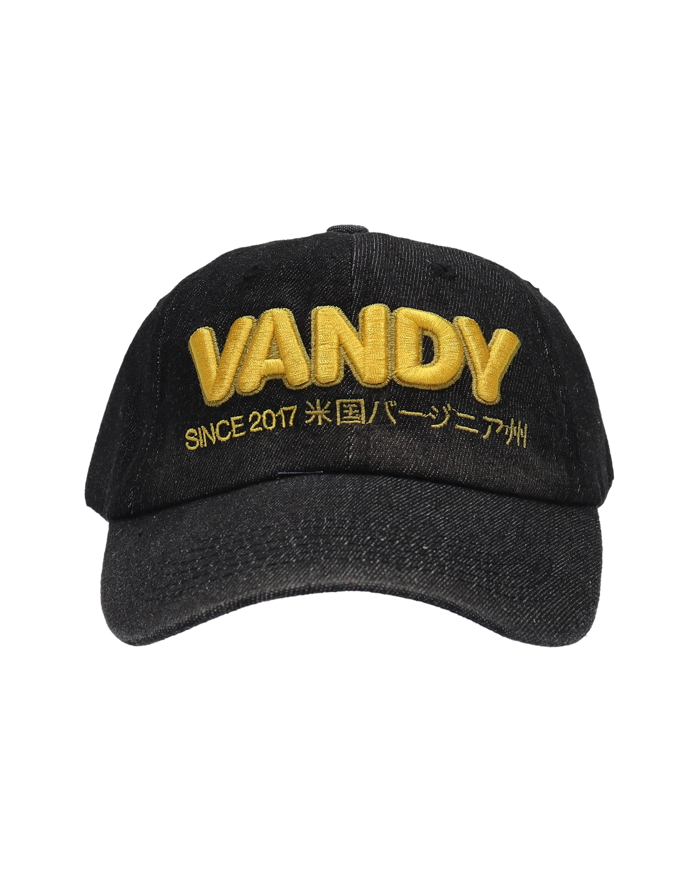 VANDY THE PINK BASIC LOGO TWILL CAP
